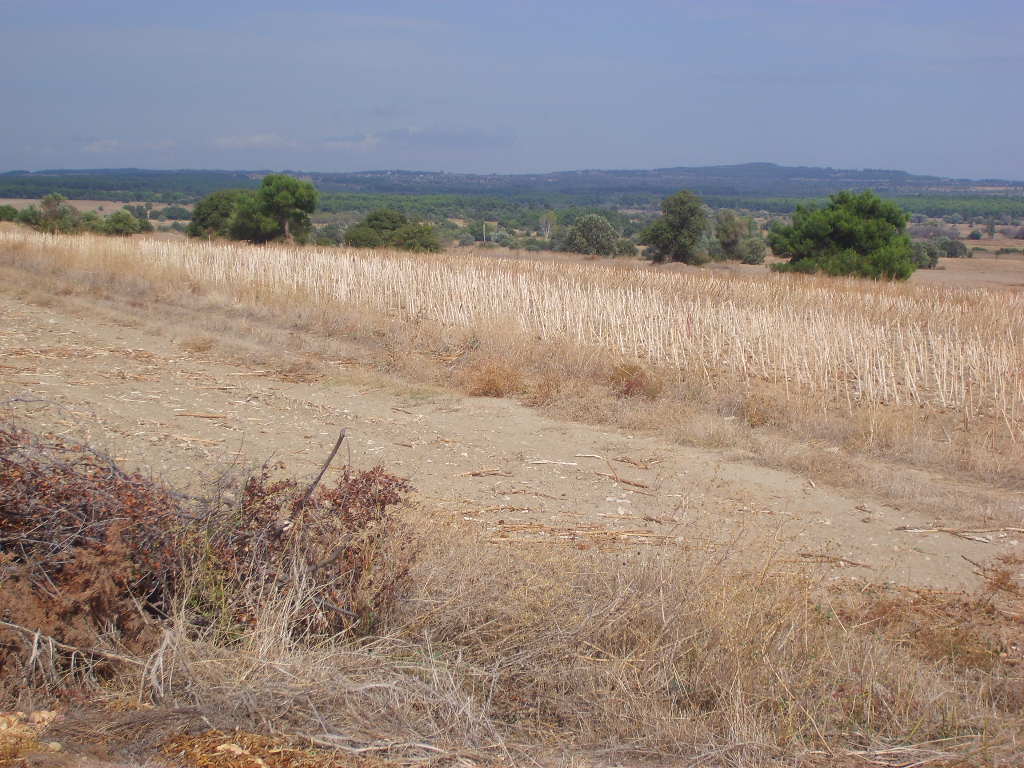 1st Battalion The Royal Inniskilling Fusiliers at Helles | Royal Irish ...
